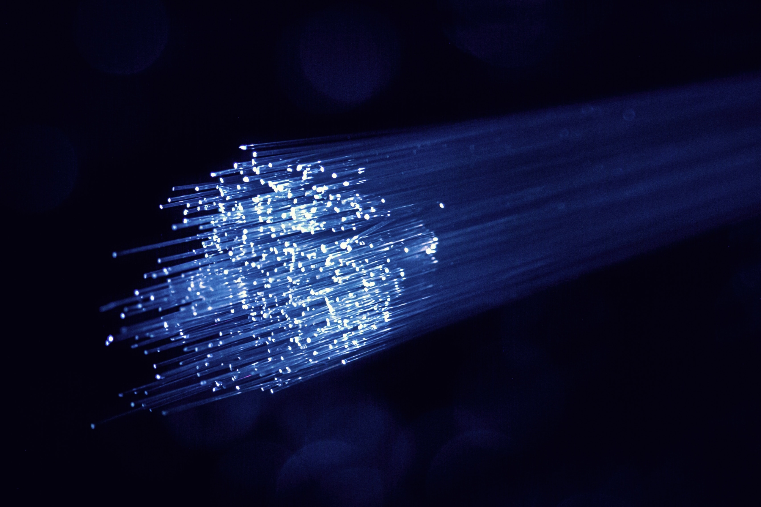 5 Reasons to Go to a Local ISP for Your Business Internet - Digital Agent